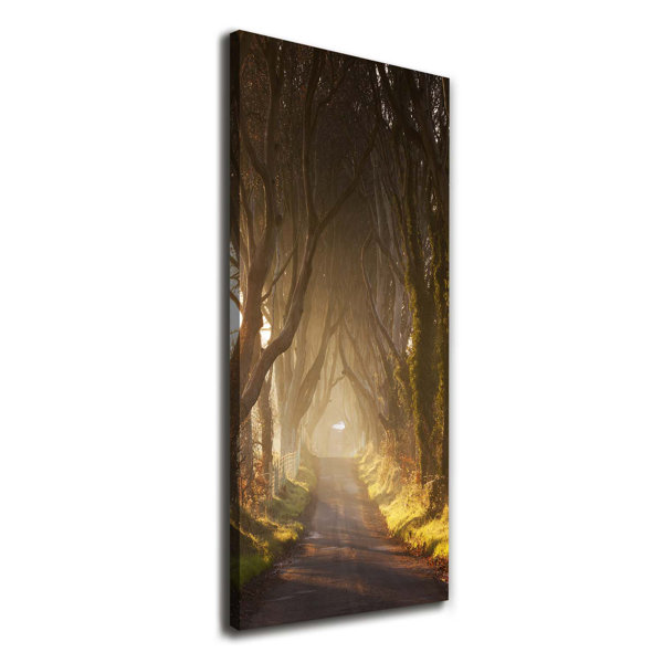Union Rustic Pfad im Wald - Kunstdrucke auf Leinwand | Wayfair.de